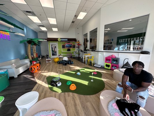 CATTYSHACK CAT CAFE - Updated June 2025 - 243 Photos & 102 Reviews ...