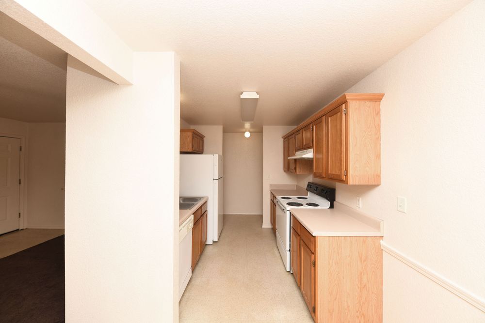 CHAPEL RIDGE MARTIN - Updated July 2024 - 528 Ellis St, Martin ...