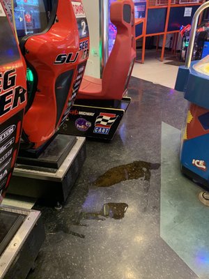 SAM’S FUN CITY - Updated September 2024 - 34 Photos & 66 Reviews - 6709 ...