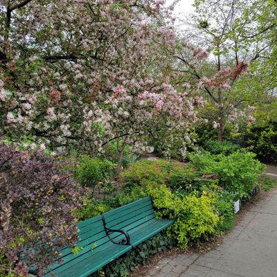 VAN VORST PARK - Updated April 2025 - 79 Photos & 34 Reviews - 281 ...