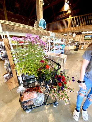 FULTON FARMS - Updated May 2025 - 46 Photos & 16 Reviews - 2393 S State ...