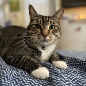 Veterinarians: ANIMAL EYE GUYS - Updated October 2024 - 18 Photos & 25 ...