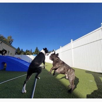 DOGGY HAVEN RESORT - Updated June 2025 - 71 Photos & 73 Reviews - 5303 ...