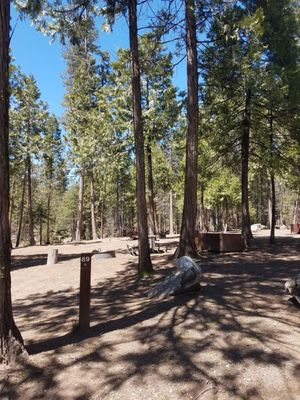 HODGDON MEADOW CAMPGROUND - 63 Photos & 65 Reviews - Tuolumne Grove Rd ...