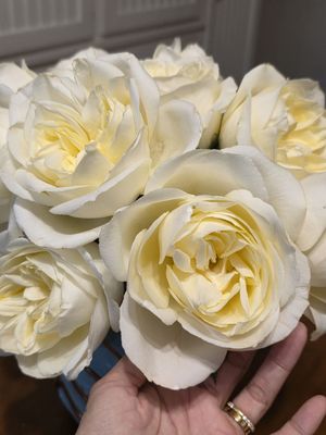 SAFEWAY - Updated January 2026 - 113 Photos & 382 Reviews - 1300 W San ...