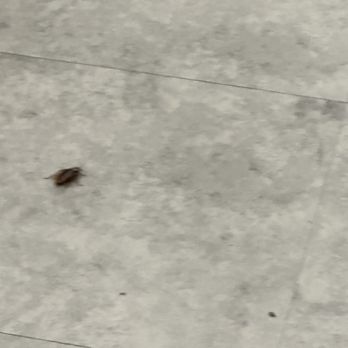 WALGREENS - Updated December 2025 - 25 Photos & 97 Reviews - 1826 W ...