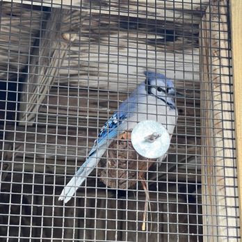 PEACE RIVER WILDLIFE CENTER - Updated December 2025 - 85 Photos & 41 ...