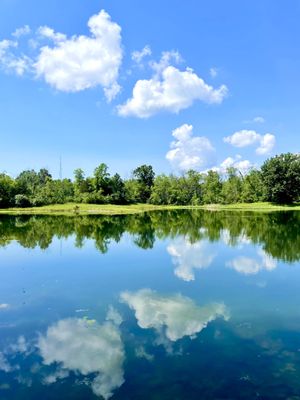 AUGUST A. BUSCH MEMORIAL CONSERVATION AREA - Updated June 2025 - 47 ...