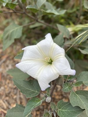 WILACRE PARK - Updated December 2025 - 446 Photos & 177 Reviews - 3431 ...