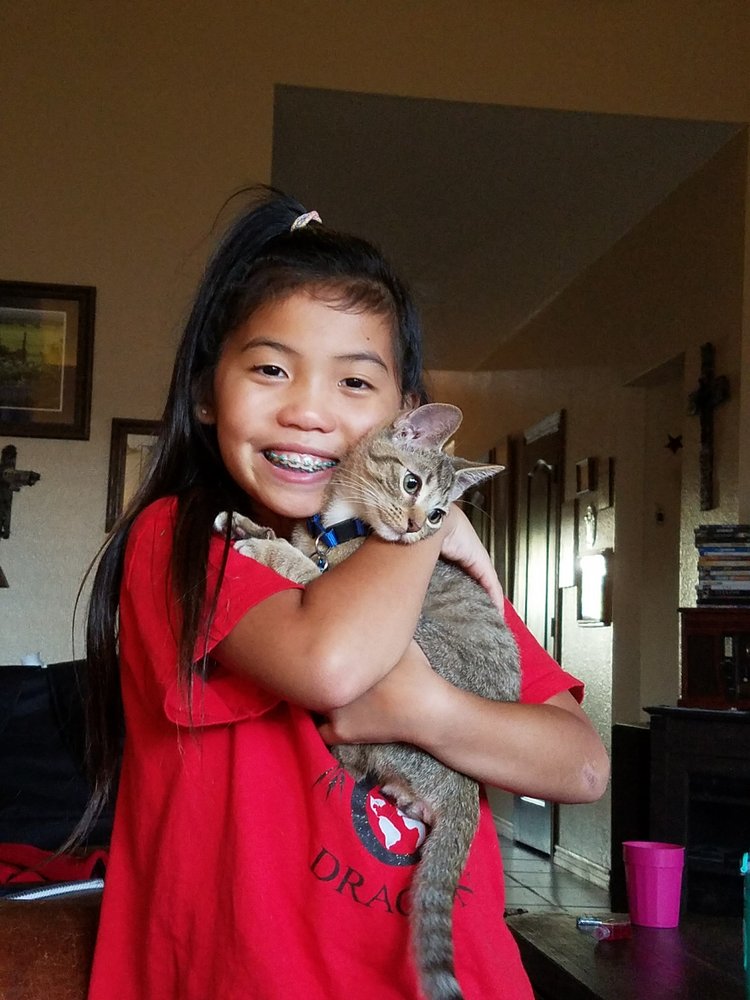 FURRY FRIENDS ANIMAL RESCUE - Updated January 2025 - 24 Reviews - Plano ...