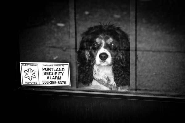 PORTLAND PRECIOUS METALS AND COIN - Updated December 2025 - 10 Photos ...