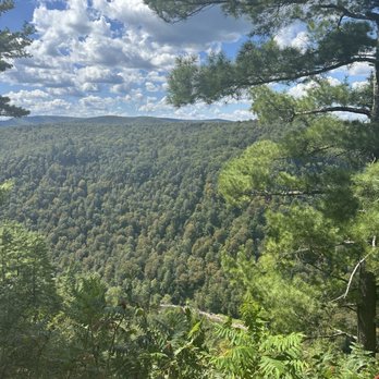 THE PENNSYLVANIA GRAND CANYON - Updated May 2026 - 36 Photos & 18 ...