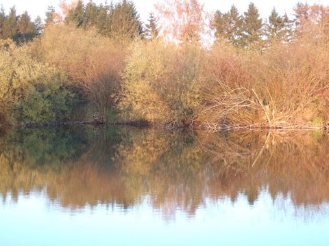 ALLINGER WEIHER - Updated April 2024 - Alling, Bayern, Germany - Lakes ...