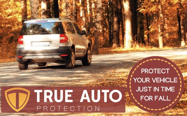 TRUE AUTO - Updated September 2025 - 21 Photos & 61 Reviews - Fort ...