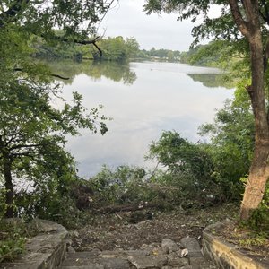 KNIGHT PARK - Updated December 2025 - 21 Photos & 10 Reviews - Collings ...