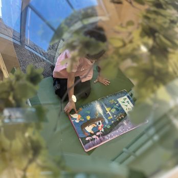 NORTHRIDGE BRANCH LIBRARY - Updated August 2025 - 32 Photos & 37 ...