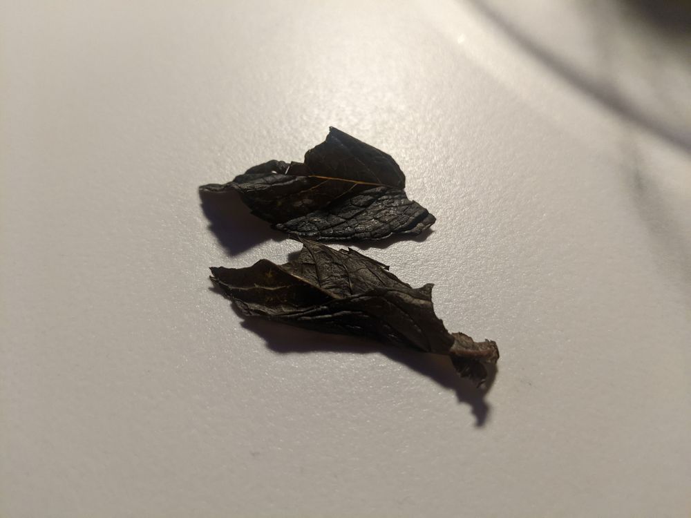 JOCELYN’S BY SEVMAR - Updated September 2024 - 53 Photos & 14 Reviews ...