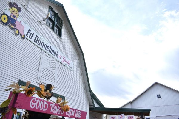 ED DUNNEBACK AND GIRLS FARM MARKET - Updated December 2025 - 306 Photos ...
