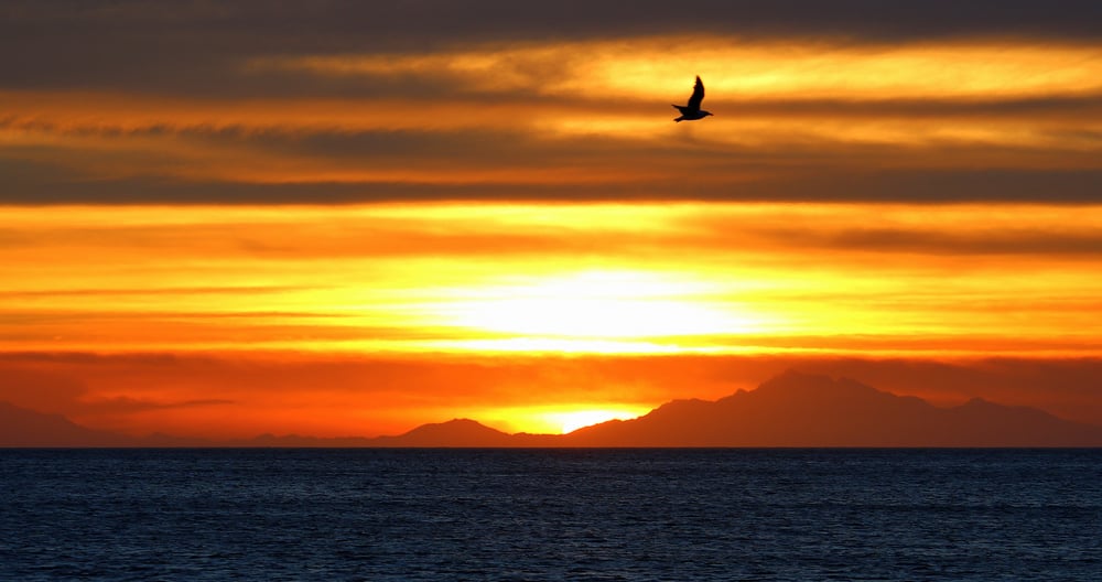 PURE POTENTIAL LIFE COACHING - Updated December 2024 - 12 Tiri View ...