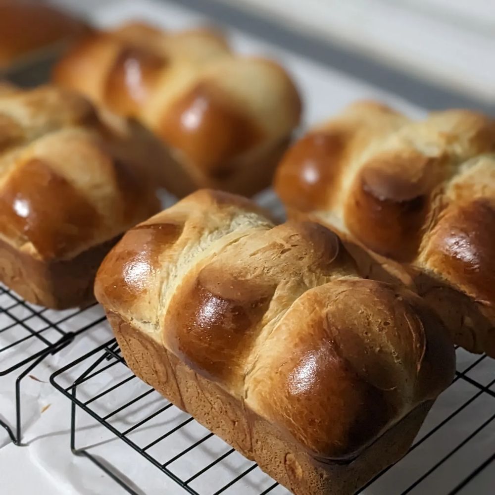 SHALOM BAKERY - Updated October 2025 - 42 Photos - Laurel, Maryland ...