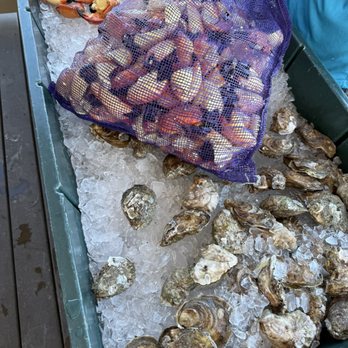 KEY LARGO FISHERIES - Updated August 2025 - 1311 Photos & 918 Reviews ...