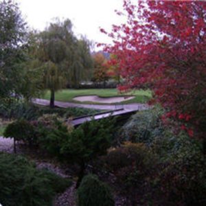 SWANESET BAY RESORT & COUNTRY CLUB - Updated July 2025 - 129 Photos ...