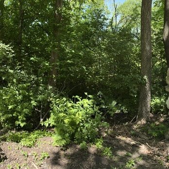 CLIFF DRIVE - Updated January 2026 - 13 Photos & 16 Reviews - 3500 ...