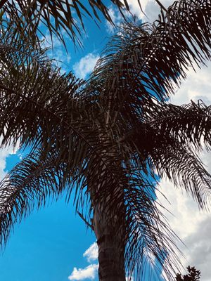 LUCAYA VILLAGE RESORT - Updated August 2024 - 39 Photos & 10 Reviews ...