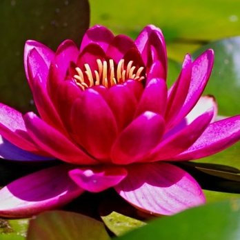 WEST COAST WOUND & SKIN CARE - Updated January 2026 - 2501 W Burbank ...