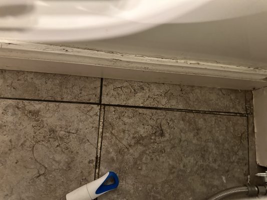 HOMEAGLOW - Updated December 2024 - 276 Photos & 1626 Reviews - 500 ...