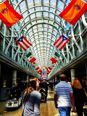 USO - Updated August 2025 - 21 Photos & 40 Reviews - 10000 W O'Hare ...