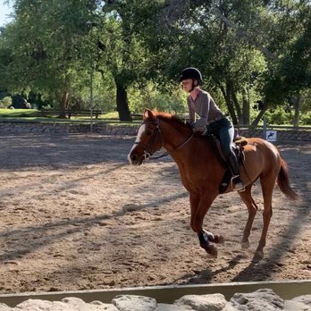 FOXFIELD RIDING SCHOOL - Updated May 2025 - 51 Photos & 49 Reviews ...