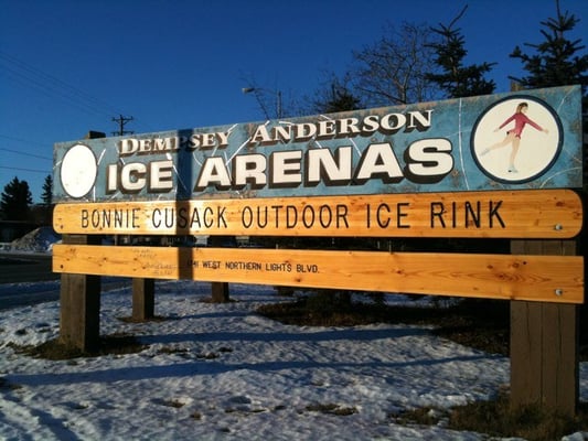 BONNIE CUSACK OUTDOOR ICE RINK - Updated November 2025 - 2000 W ...