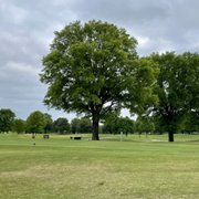 TWO RIVERS PARK - 97 Photos & 15 Reviews - 3150 Mcgavock Pike ...