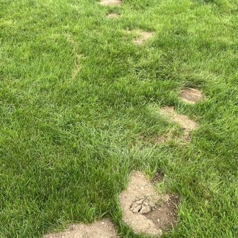 CATSEYE PEST CONTROL - Updated August 2025 - 26 Photos & 35 Reviews ...