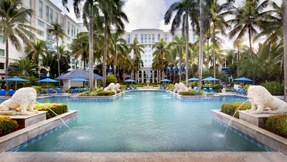 THE RITZ-CARLTON, SAN JUAN - Updated February 2025 - 391 Photos & 276 ...