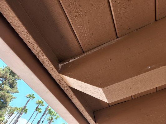 KILTER TERMITE & PEST CONTROL - Updated July 2025 - 23 Photos & 150 ...