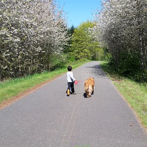 Parks - CHEHALIS WESTERN TRAIL - 59 Photos & 10 Reviews - 4004 26th Ave ...