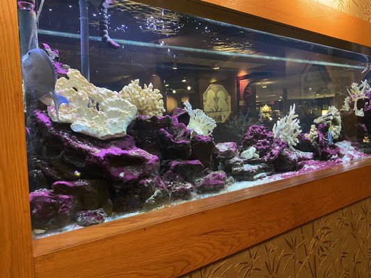 HUNAN LION - Updated December 2025 - 204 Photos & 282 Reviews - 2038 ...