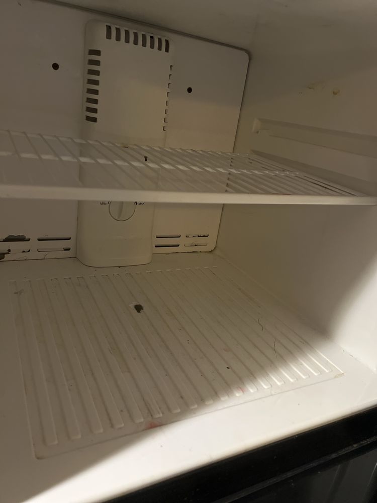 CURLEY’S RESORT & DIVE CENTER - Updated December 2025 - 14 Photos & 17 ...