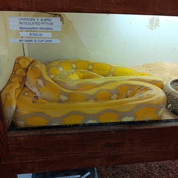 EAST BAY VIVARIUM - Updated July 2025 - 711 Photos & 609 Reviews - 1827 ...