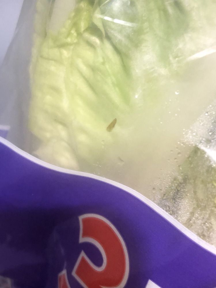 KEY FOOD - Updated April 2025 - 29 Photos & 40 Reviews - 6620 Ave U ...