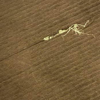 SOHO 54 HOTEL - Updated October 2024 - 137 Photos & 173 Reviews - 54 ...