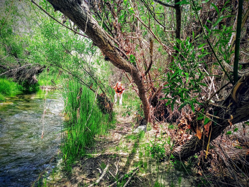 SANTA MARGARITA RIVER TRAIL - 210 Photos & 55 Reviews - Hiking - 37385 ...