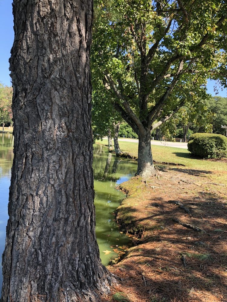 FLORENCE RV PARK - Updated September 2024 - 33 Photos - 1115 E ...