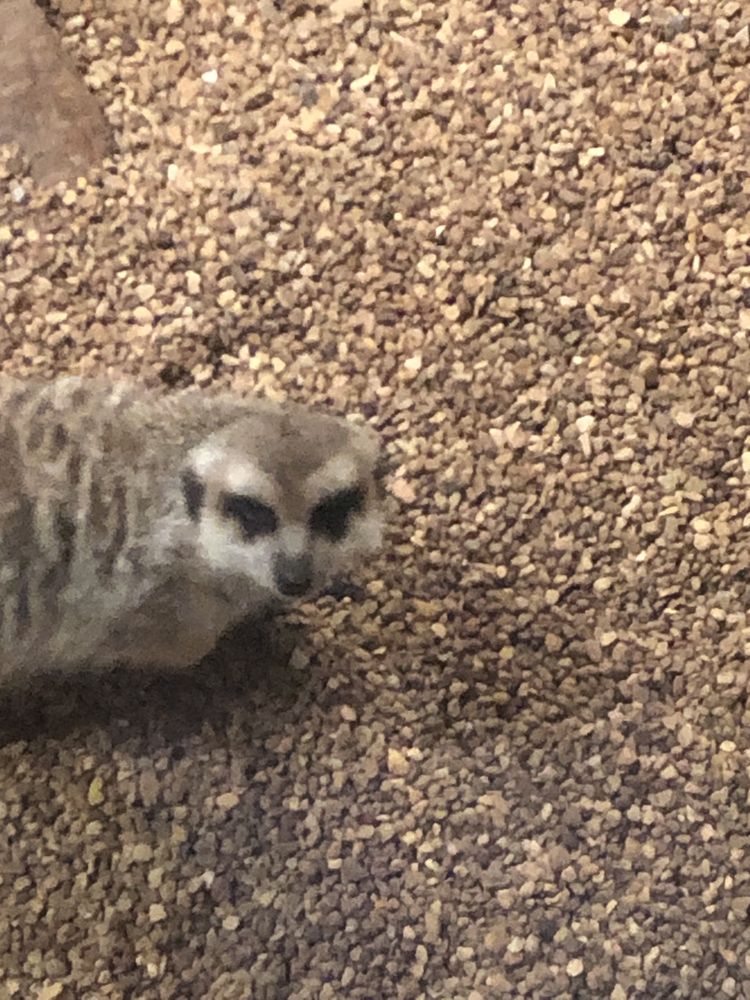 SCIENCE AND MATH INSTITUTE - Updated December 2025 - 5502 Five Mile Dr ...