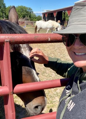 KNOBLOCK RIDING STABLE - Updated April 2025 - 23 Photos & 20 Reviews ...