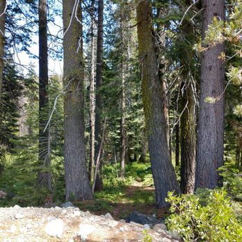 CASTLE LAKE CAMPGROUND - Updated December 2025 - 71 Photos & 16 Reviews ...