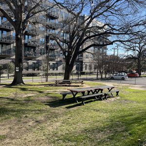 UNION COFFEE HOUSE - 292 Photos & 345 Reviews - 3705 Cedar Springs Rd ...