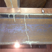 D-BUG PEST CONTROL - Updated October 2025 - 20 Photos - 456 Frye Farm ...